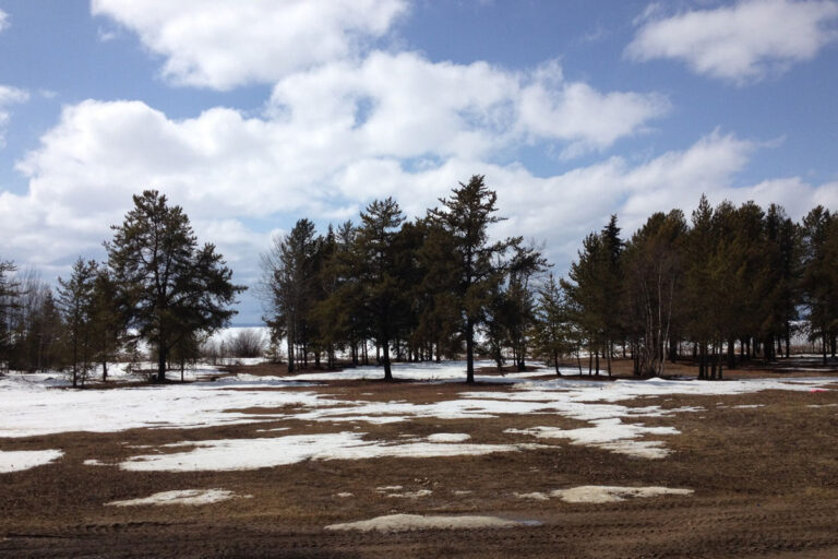 - Peerless Trout First Nation
